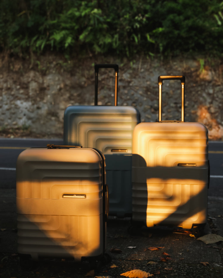 What´s the amount of suitcases you can bring on board? – Eminent Luggage